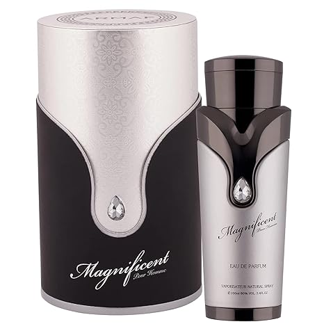 ARMAF MAGNIFICIENT 3.4OZ, MEN'S PERFUME, EDP – Shangri-la Perfumes